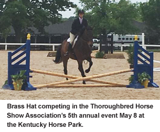 OCD Pellets for Horses - Treats Bone and Joint Conditions in Horses